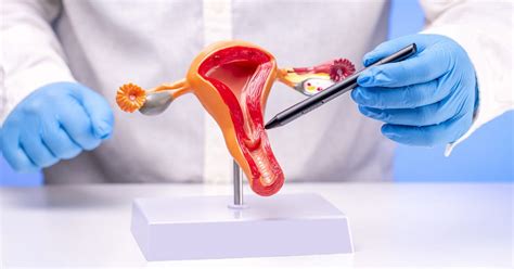 Endometrial Biopsy What Leads To An Insufficient