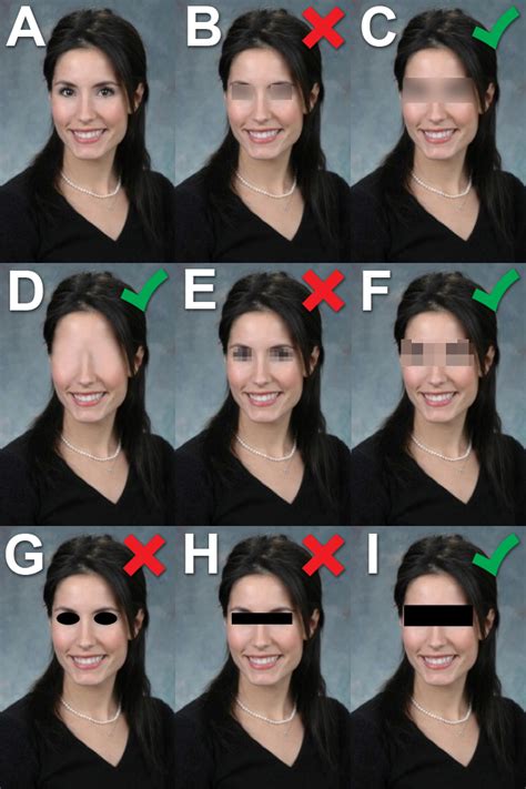 Examples Of Facial Masking Methods Panel A Shows The Unedited Photo