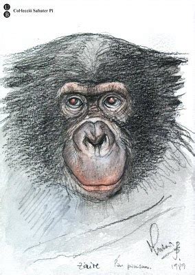 Bibliodyssey 2010 12 12