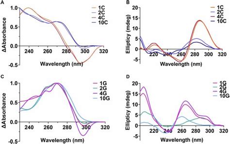 Structural Insights Into I Motif Dna Structures In Sequences From The