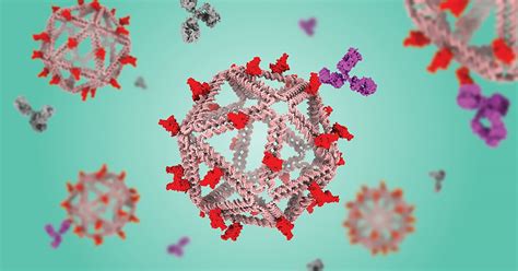 Virus Mimicking Dna Particles Deliver Vaccine Without Immune Side Effects
