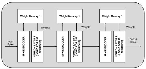 a review of algorithms and hardware implementations for spiking neural