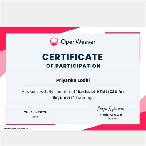 Priyanka Lodhi On Linkedin Connections Html Css Share Programming