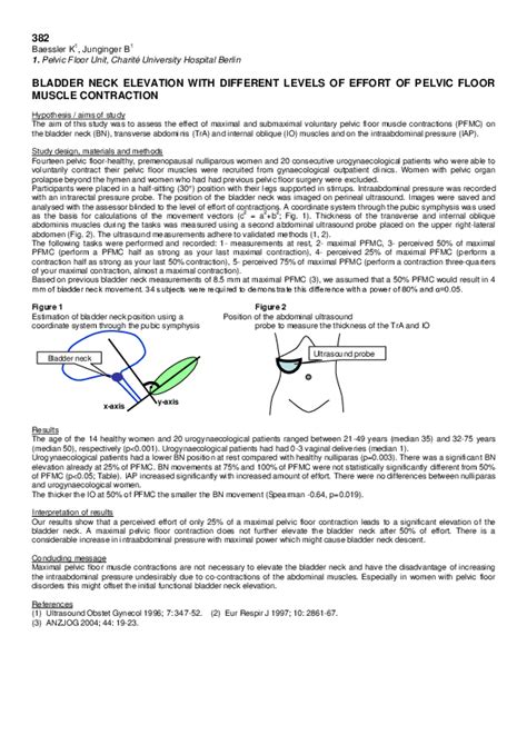 Pdf Bladder Neck Elevation With Different Levels Of Effort Of Pelvic