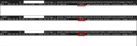 Error Response From Daemon Unknown Artifact Stencilapi4301 Not