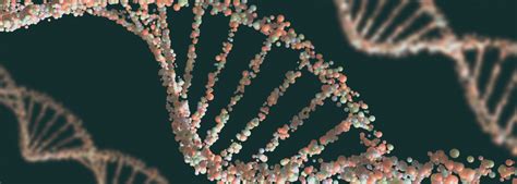 Critical Flaws In Illuminas Dna Sequencing Instruments Warned By Cisa Arab Security Consultants