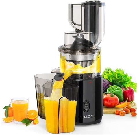 How To Use A Fusion Juicer At Skye Milliner Blog