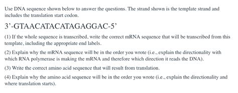 Solved Use Dna Sequence Shown Below To Answer The Questions