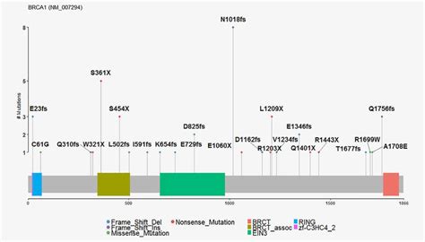 Mutation Plot Of Brca1 Four And Three Splice Variants For Brca1