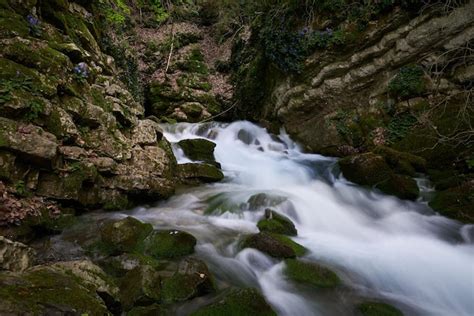 Premium Photo River Source