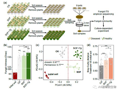 New Phytologist 南农沈其荣团队研究揭示真菌互作抑制植物枯萎病的生防机制！ 知乎