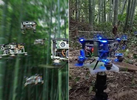 researchers program drone swarm to navigate autonomously through a