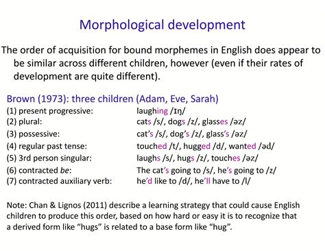 Description Of Morphology Types Development And Examples PPT