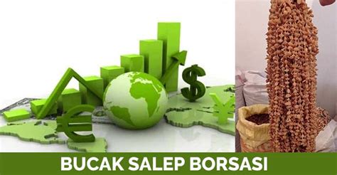 Bucak Salep Borsası Doğal Saf Sahlep