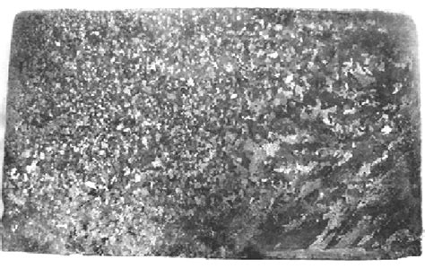 Refined Microstructure Of A Sn 10wt Pb Sample Solidified Under Download Scientific Diagram