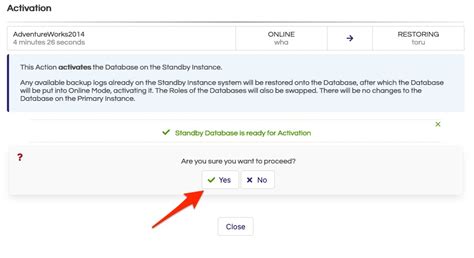 Sql Server Activation And Dr Standby Mode Dbvisit Support