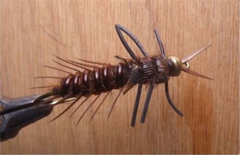 Tying A Hellgrammite Fly