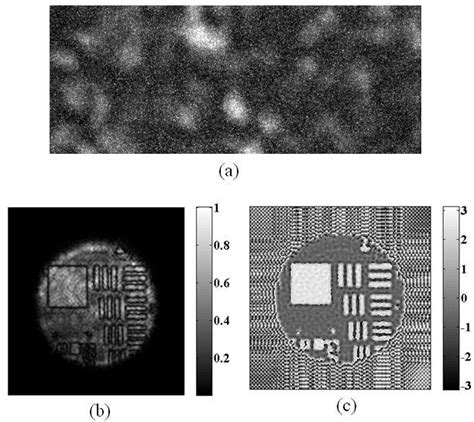 21 A Random Speckle Pattern Recorded By The Ccd Camera B And C Download Scientific Diagram