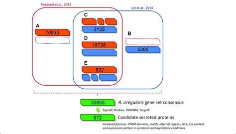 Bioinformatic Pipeline Describing The Process And The Gene Model Download Scientific Diagram
