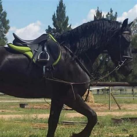 Marichen Hartznberg Youtube