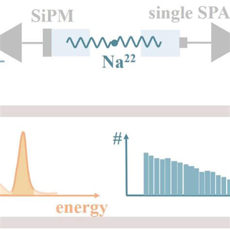 Schematic Drawing Of The Time Correlated Single Photon Counting Tcspc