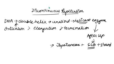Solved As Dna Is Replicated Both Continuous And Discontinuous Replication Occur Discontinuous