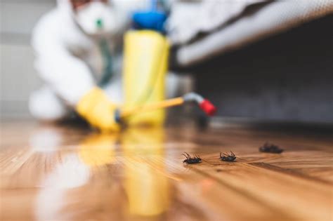 Pest Control Specialists The Bug Blaster Inc Suamico Wi