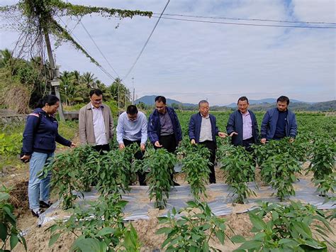 环境与植物保护研究所 工作动态 环植所提供防寒配方 为农作物披上“保暖外衣”