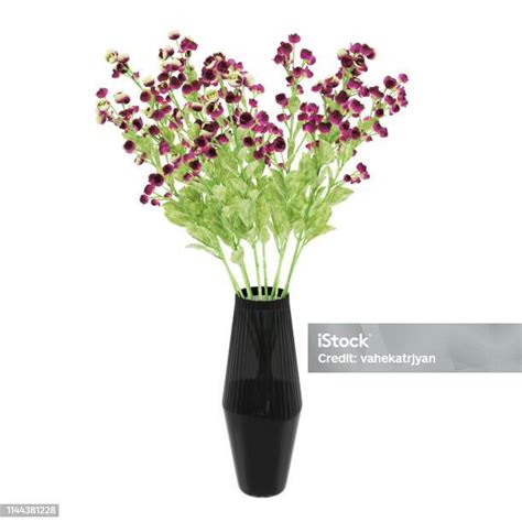 흰색 배경에 고립 된 Nblack 유리 꽃병에 장식 페르시아 미나리 공장 3d 렌더링 그림 개화에 대한 스톡 사진 및 기타 이미지 Istock