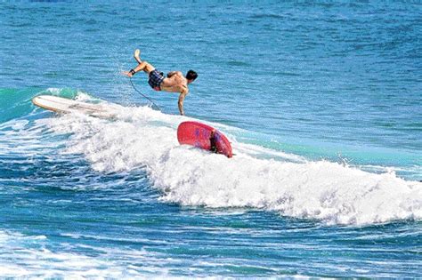 가을은 서핑의 계절 서퍼들은 바다에 산다 서울신문