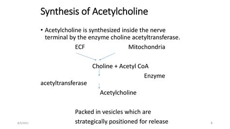 Depolarizing Neuromuscular Blocking Agents Pptx