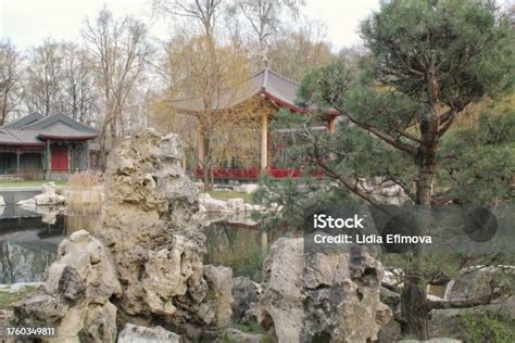 중국 전통 석조 정원의 동양 파빌리온 동양림의 푸른 식물과 바위 아시아 스타일의 식물원에서 조경을위한 장식용 관목 잔디와 자갈이 있는 선 정원 0명에 대한 스톡 사진 및