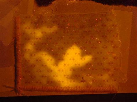 Detection Of Body Fluids With An Alternate Light Source Horiba