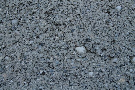 Premium Photo Shell Texture Background Image