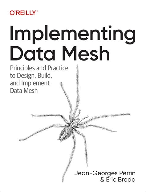 Buy Implementing Data Mesh Principles And Practice To Design Build