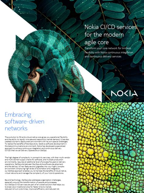 Nokia Ci Cd Services For The Modern Agile Core Brochure En Pdf