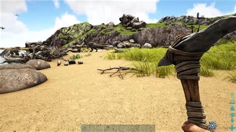 Ark Survival Evolved Yeni Başlayanlar İçin Bir Kılavuz UltaHost Blog