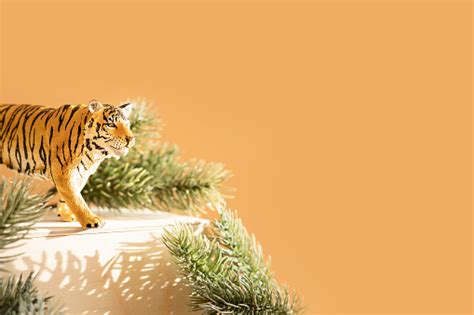 2022 년 중국 새해의 호랑이 상징 밝은 배경에 나무 스탠드에 나뭇가지 가문비 나무와 호랑이의 인형 공간을 복사합니다 0명에 대한 스톡 사진 및 기타 이미지 Istock