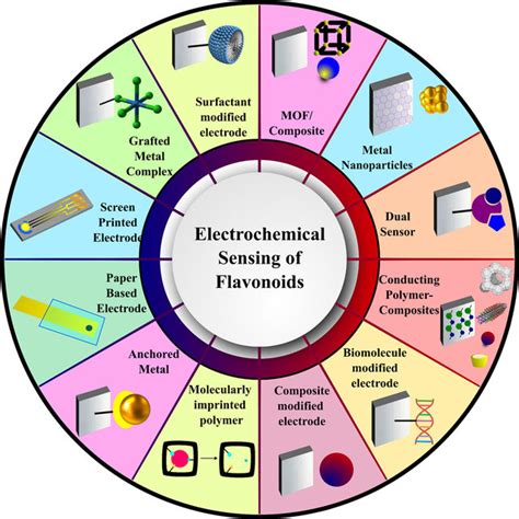 Schematic Illustration Of Various Electrode Modifications Used In Download Scientific Diagram
