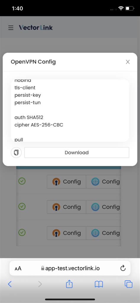 Vector Link iOS OpenVPN 手动配置教程