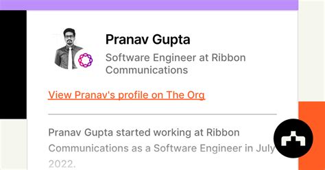 Pranav Gupta Software Engineer At Ribbon Communications The Org
