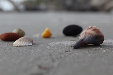 The Role Of Jekyll Themes In Modern Business Website Development