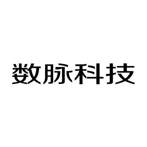 somax是什么牌子 数脉科技有限公司 世外云文章资讯