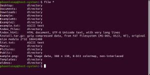 Linux File Command How To Determine File Type In Linux Examples