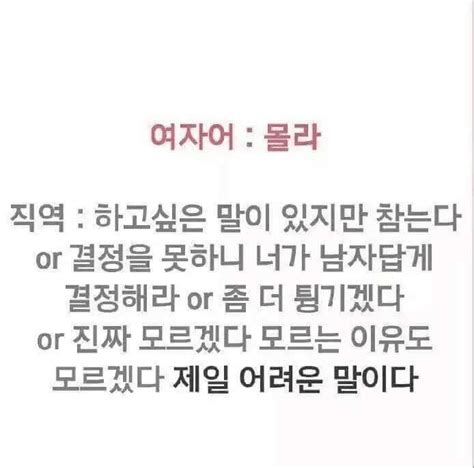 충격 해석불가 한국어 방언 레전드 일반 유머 시보드