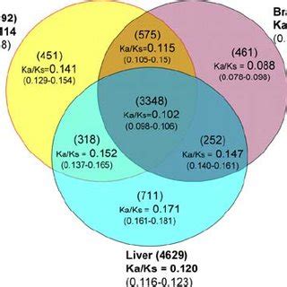 The Ka And Ks Values For Genes Expressed In The Brain Versus For All Download Table
