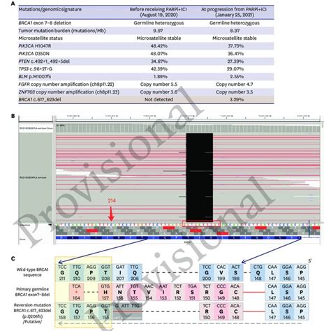 Reversion Mutation Brca1 C 617 623del Mediates Resistance To Olaparib Download Scientific