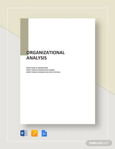 18 Organizational Analysis Examples To Download