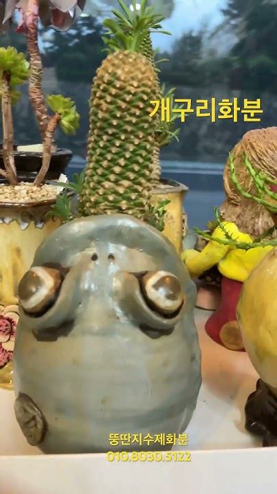 개구리화분 인테리어 화분 수제화분 다육이 다육이화분 다육화분 수제화분만들기 다육아트 다육생활 다육집사 화분 화분만들기 Youtube