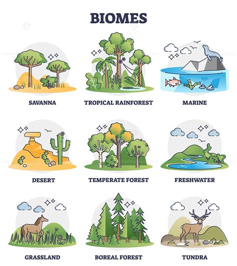 Biomes As Biogeographical Climate Zones Division In Outline Collection